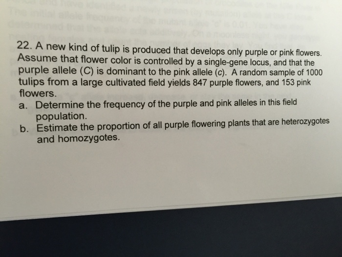 Solved 22. A new kind of tulip is produced that develops | Chegg.com