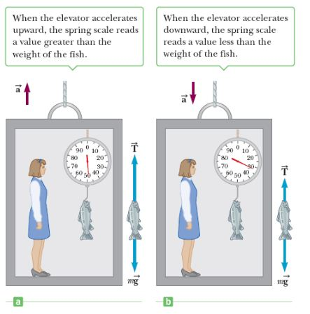 Spring Scale Diagram