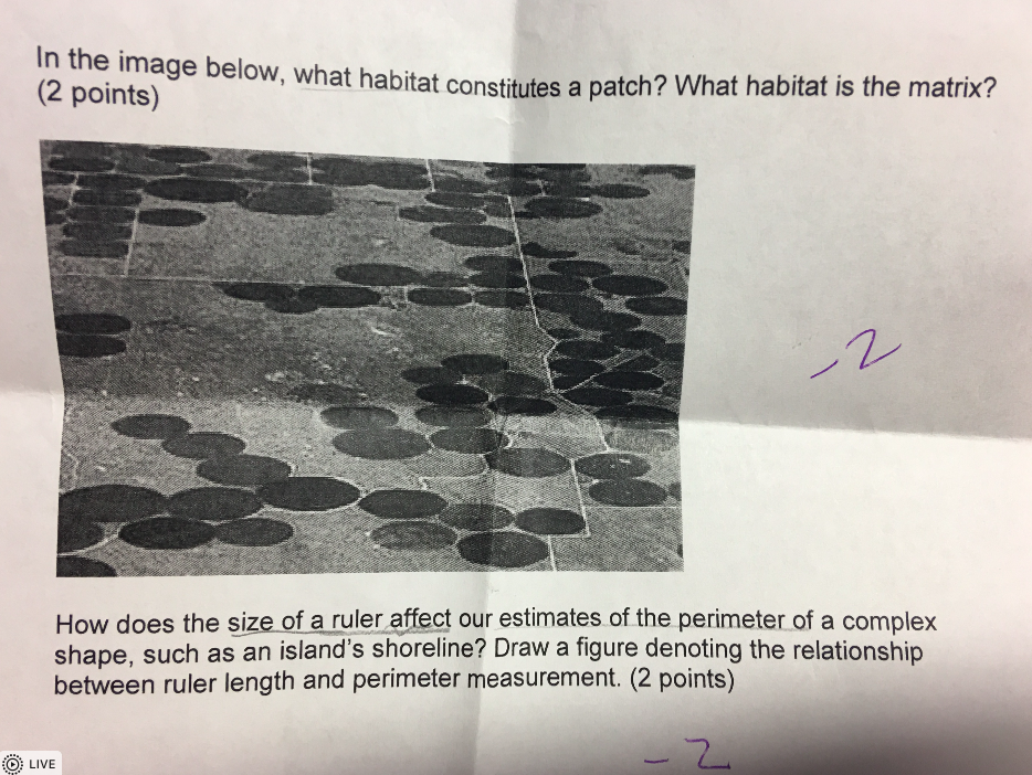 Solved In the image below, what habit (2 points) at | Chegg.com