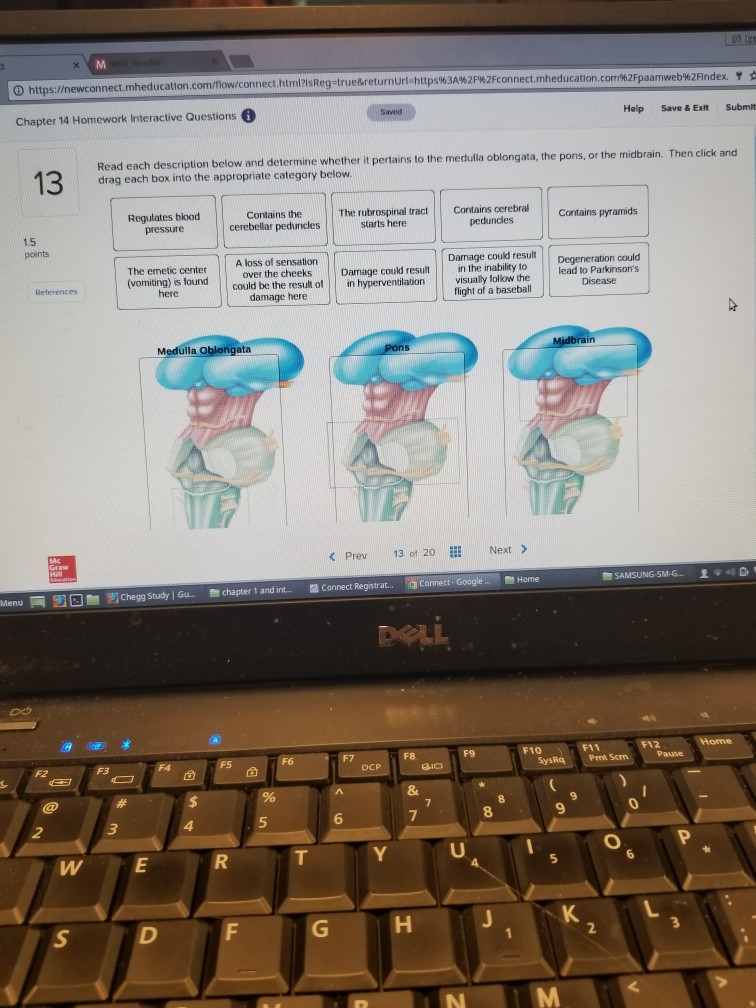 Solved Y ☆ .com/flowv/connect.html?isRe9"true&returnUrl | Chegg.com