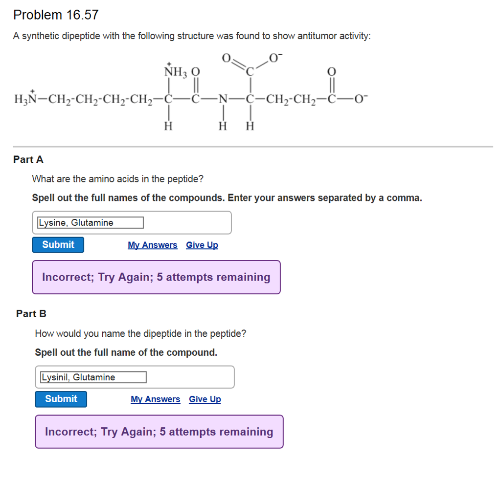 Solved A synthetic dipeptide with the following structure | Chegg.com