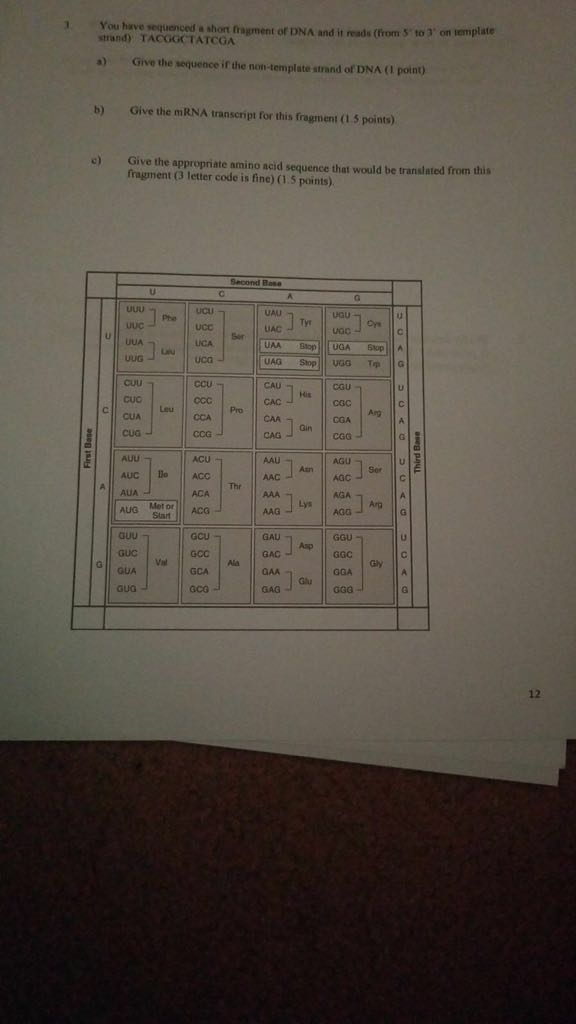 Solved You have sequenced a short fragment of DNA and it | Chegg.com