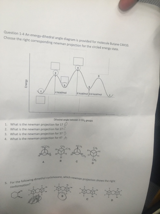 Solved An energy-dihedral angle diagram is provided for | Chegg.com