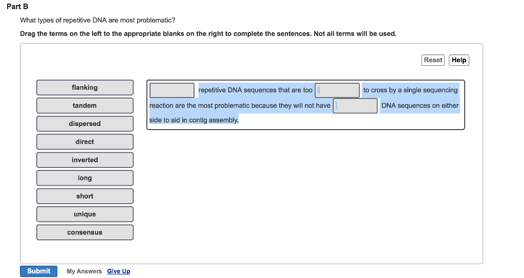 Solved Part B What types of repetitive DNA are most | Chegg.com