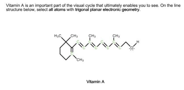 Solved Vitamin A is an important part of the visual cycle | Chegg.com