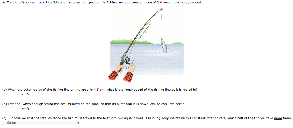 Solved As Tony the fisherman reels in a "big one" he turns | Chegg.com