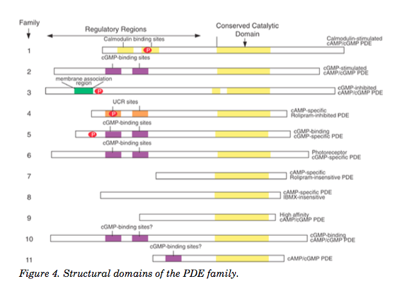Solved Family Conserved Catalytic Regulatory Regions Domain | Chegg.com