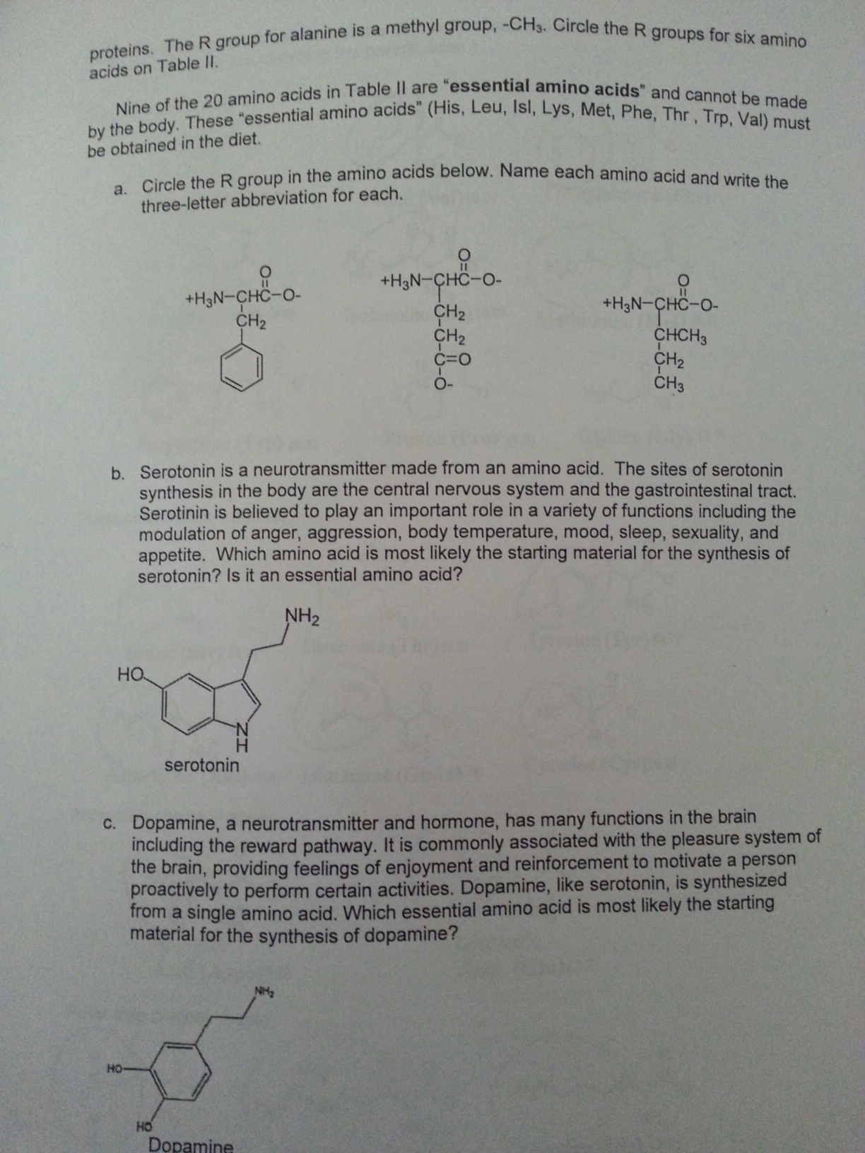 Solved proteins. The R group for alanine is a methyl group. | Chegg.com
