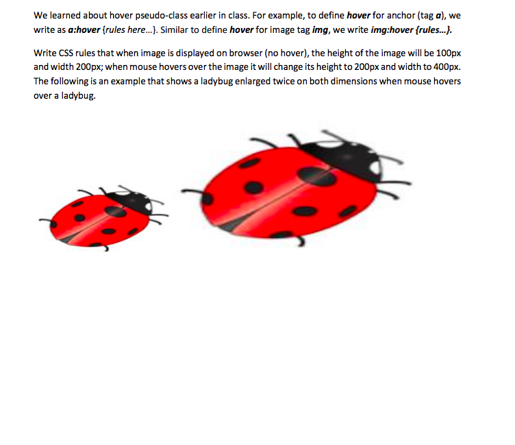 Solved There Are 5 Exercises In This Homework Exercise 3 1