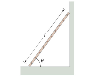 Solved A uniform ladder of mass m and length l leans at | Chegg.com