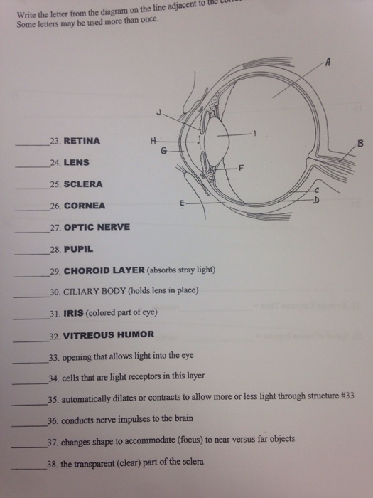 Solved Write the letter from the diagram on the line | Chegg.com