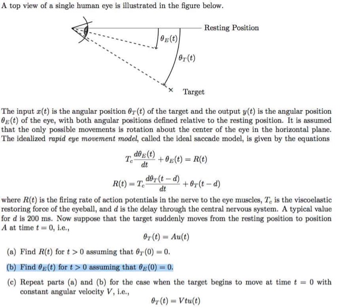 Solved A top view of a single human eye is illustrated in | Chegg.com