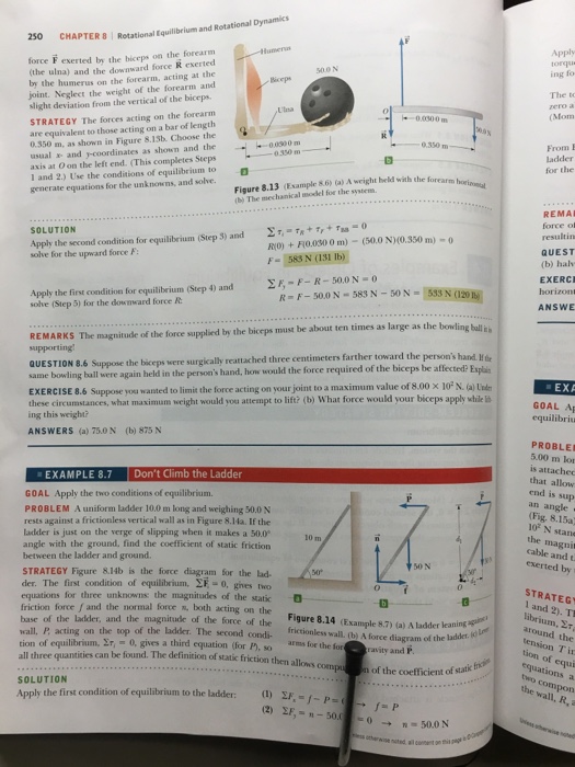 Solved Apply the second condition for equilibrium (Step 3) | Chegg.com