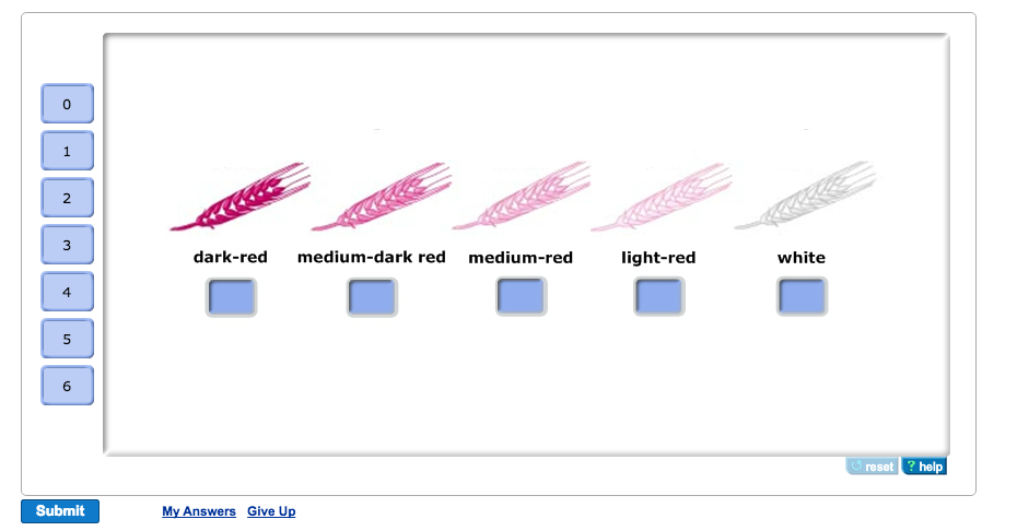 Solved A dark-red strain and a white strain of wheat are | Chegg.com