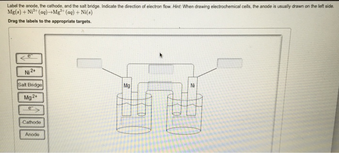 Solved Label the anode, the cathode, and the salt bridge | Chegg.com