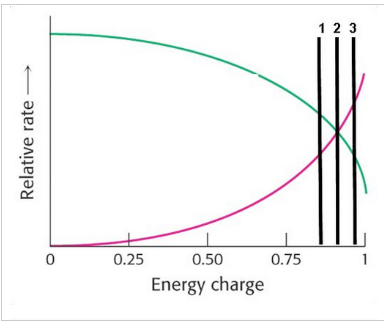 Solved (BIOCHEMISTRY QUESTION) Using the graph below, | Chegg.com