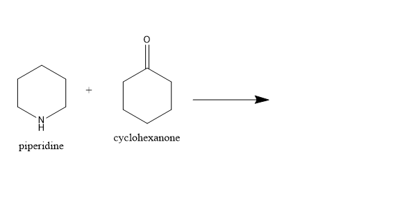 Solved cyclohexanone piperidine | Chegg.com