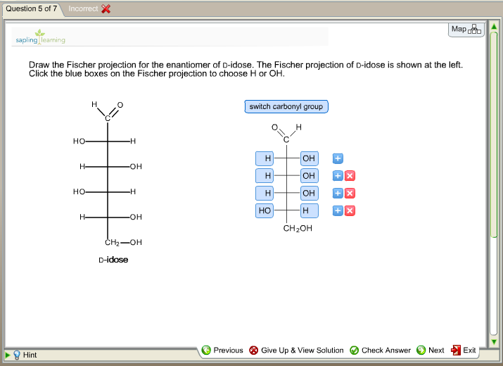Solved Question 5 of 7 incorrect Map pling Draw the Fischer | Chegg.com