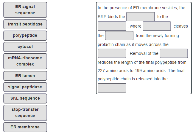 Solved ER signal sequence transit peptidase polypeptide | Chegg.com