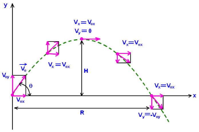 Projectile Motion - The free fall of motion of a | Chegg.com