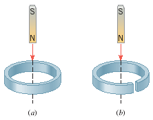 Solved The drawing shows a bar magnet falling through a | Chegg.com