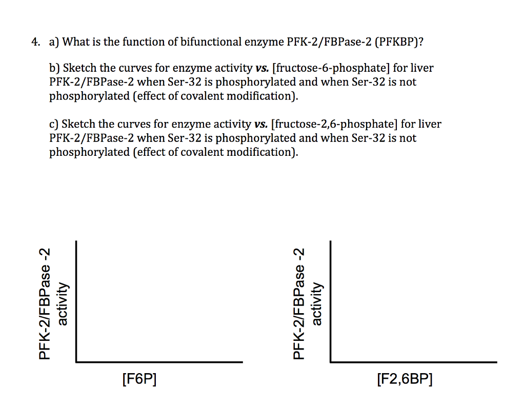 Solved What is the function of bifunctional enzyme | Chegg.com