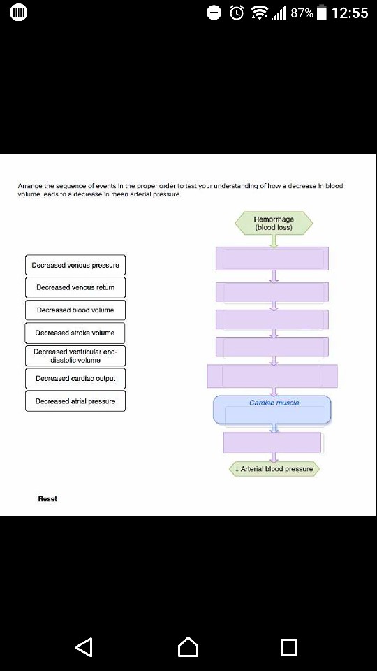 Solved '.111 87901 12:55 Arrange the sequence of events in | Chegg.com