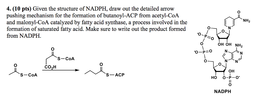 Solved 4. (10 pts) Given the structure of NADPH, draw out | Chegg.com
