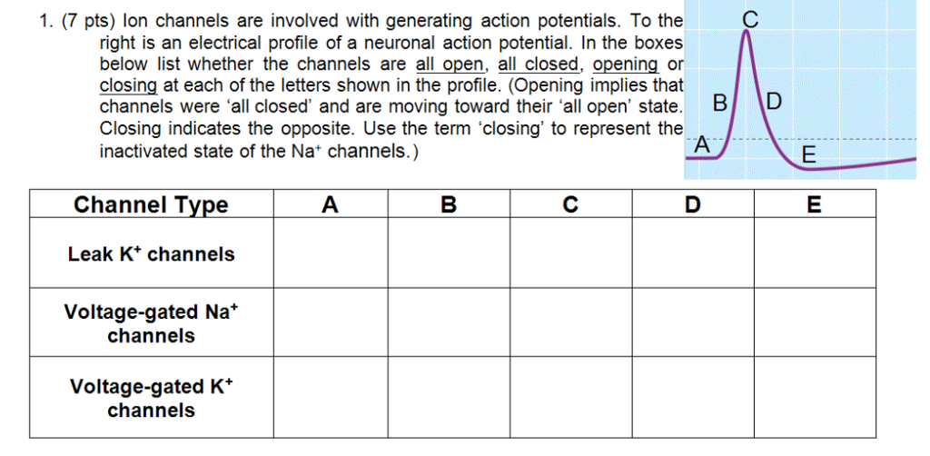 Solved 1. (7 pts) lon channels are involved with generating | Chegg.com