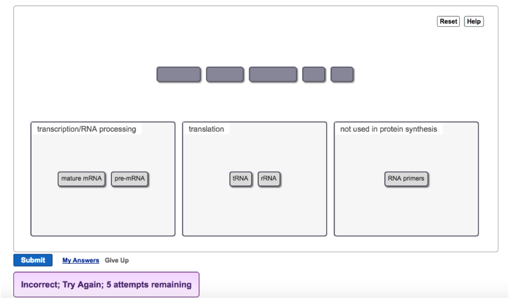 Solved Part A Resethelp Complementation Tests Can Be Used To 