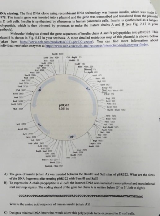Solved The first DNA clone using recombinant DNA technology | Chegg.com