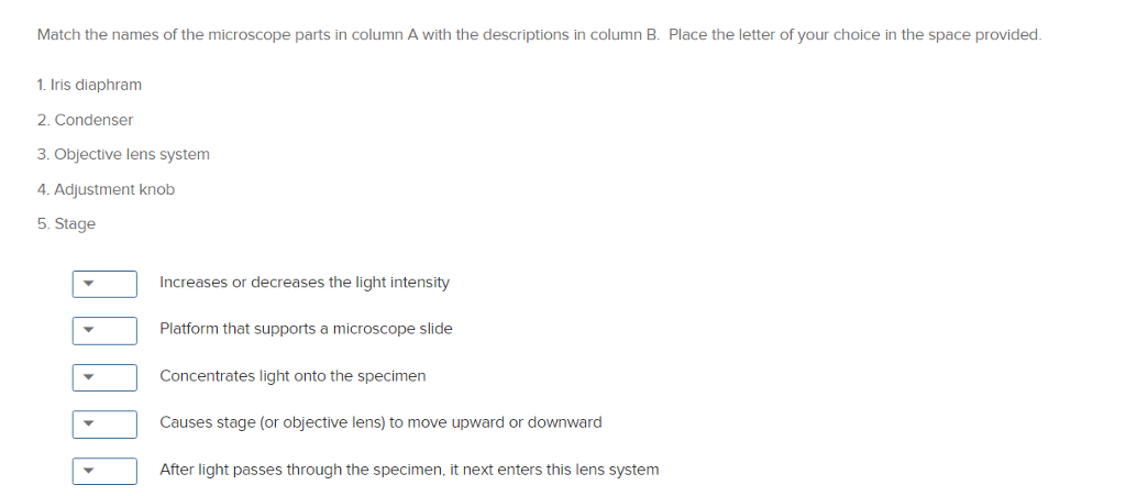 Solved Match the names of the microscope parts in column A | Chegg.com