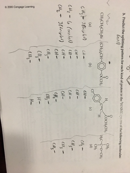 Solved 3. Predict the splitting pattern for each kind of | Chegg.com