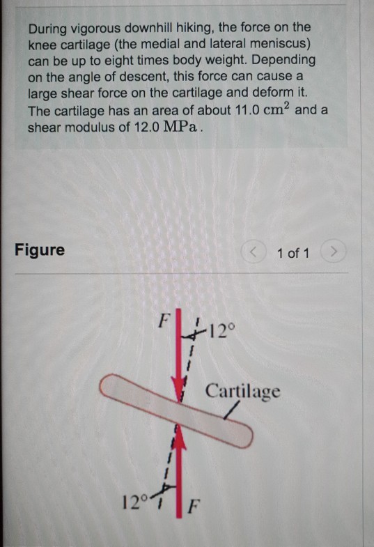 Solved During vigorous downhill hiking, the force on the | Chegg.com