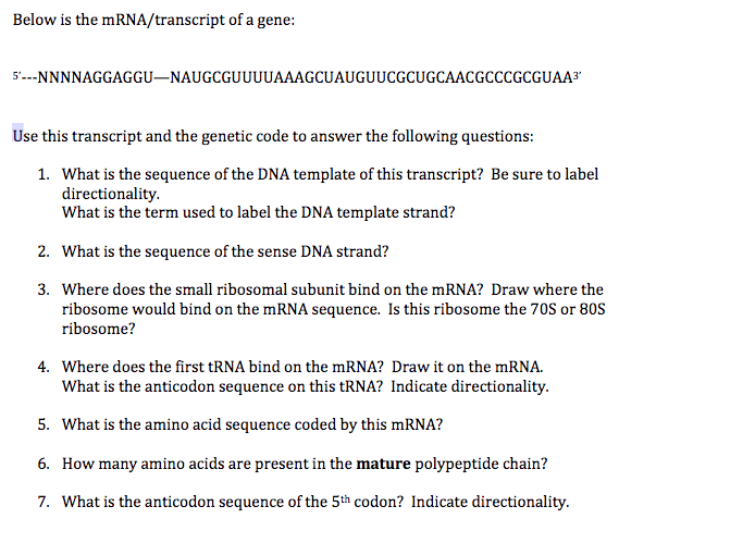 Solved Below is the mRNA/transcript of a gene: | Chegg.com