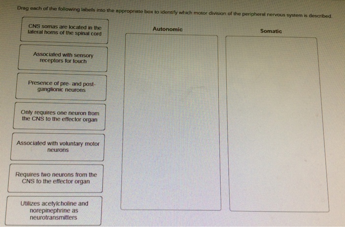 Solved Drag each of the following labels into the | Chegg.com