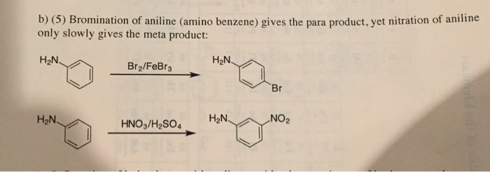 Solved Bromination of aniline (amino benzene) gives the para | Chegg.com