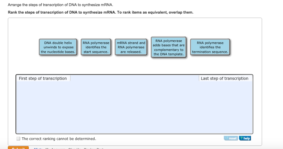 Solved Arrange the steps of transcription of DNA to | Chegg.com Solved Arrange the steps of transcription of DNA to | Chegg.com