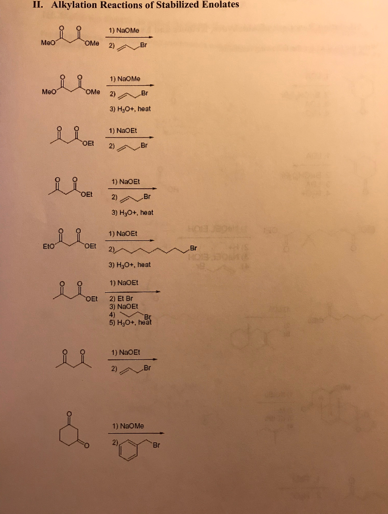 Solved II. Alkylation Reactions of Stabilized Enolates 1) | Chegg.com