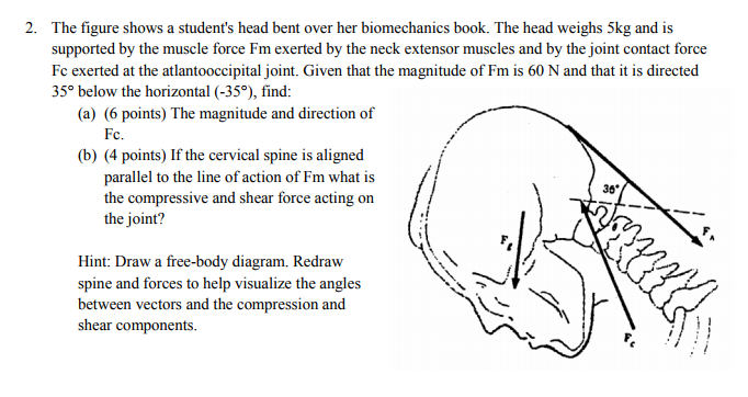 Solved 2. The figure shows a student's head bent over her | Chegg.com