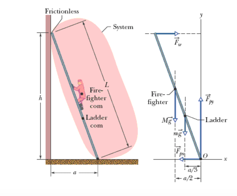 Solved In the figure, a ladder of length L = 10 m and mass m | Chegg.com