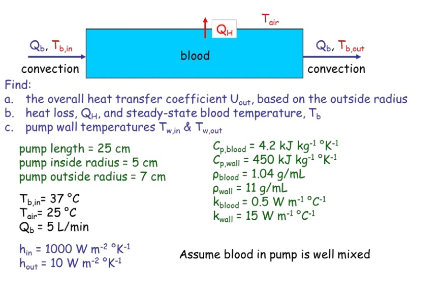 Solved The steady state blood temperature should be cooling | Chegg.com
