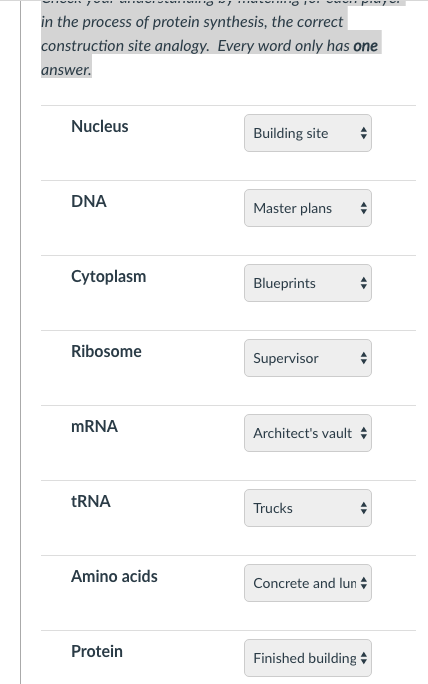 Solved in the process of protein synthesis, the correct | Chegg.com
