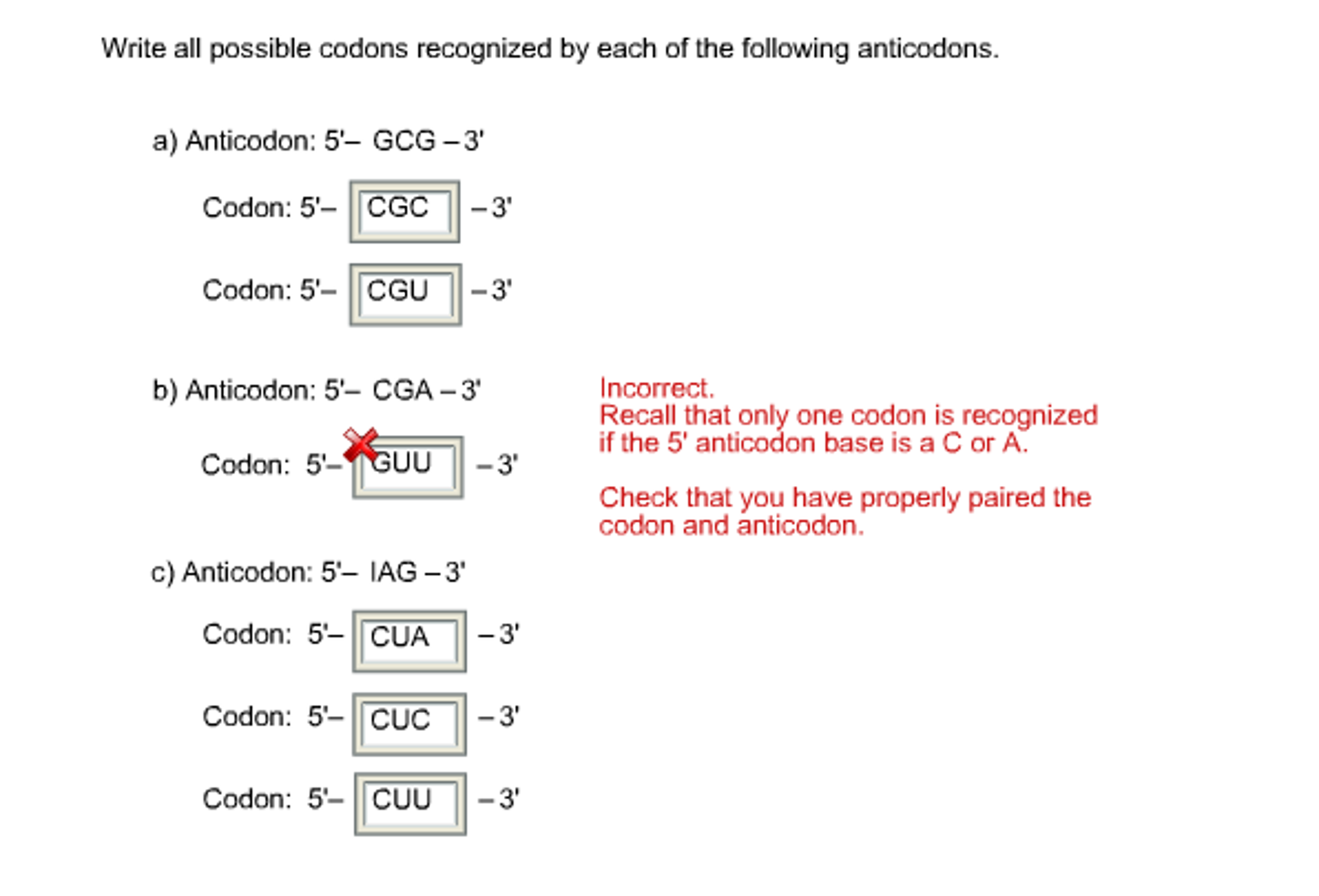 Solved Write all possible codons recognized by each of the | Chegg.com