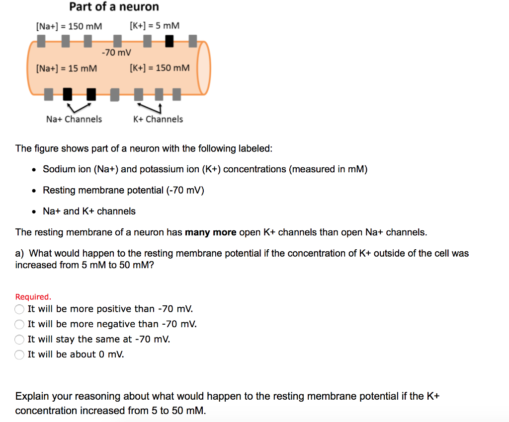 Solved Part of a neuron [Na+] = 150 mM [K+] = 5 mM -70 mV | Chegg.com
