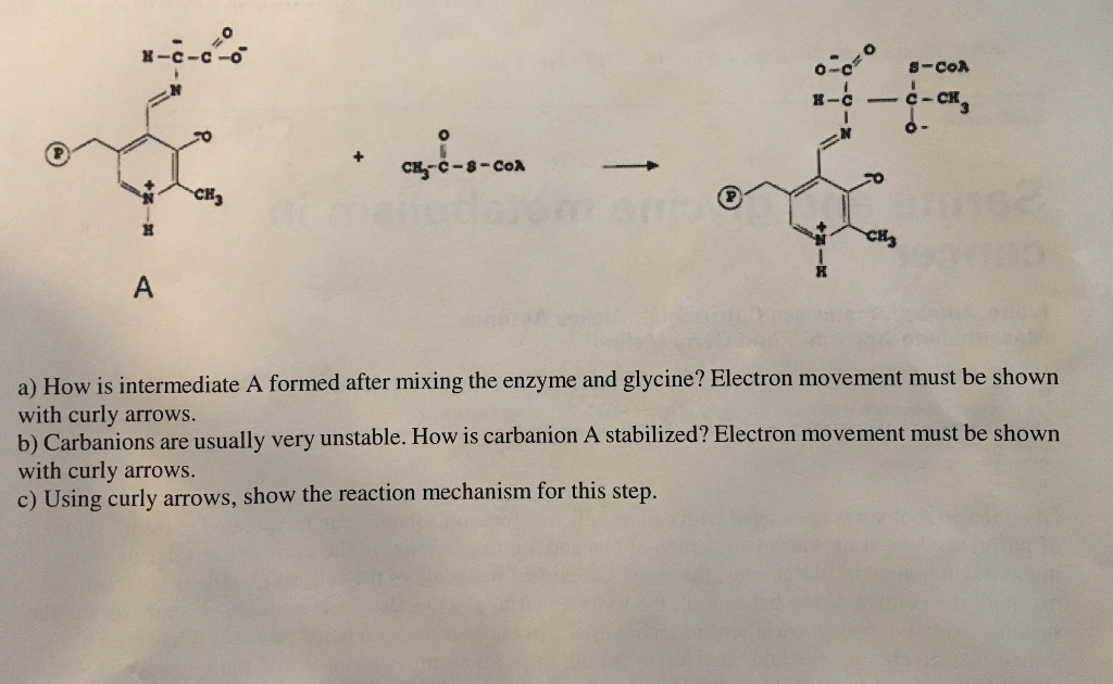 Solved 0 ?-?-?-? s-CoA 0 a) How is intermediate A formed | Chegg.com