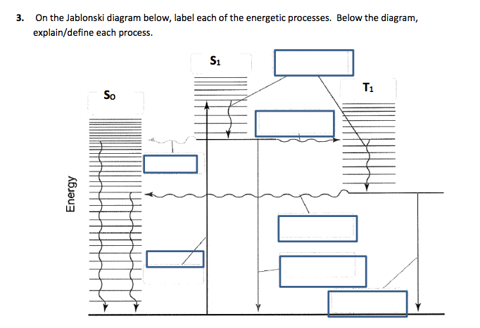 Solved On the Jablonski diagram below, label each of the | Chegg.com