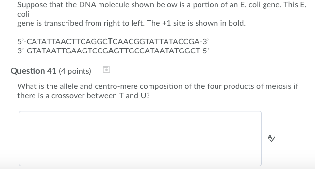 Solved Suppose that the DNA molecule shown below is a | Chegg.com