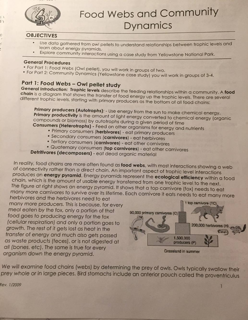 Solved Record the class findings on the chart at right and | Chegg.com