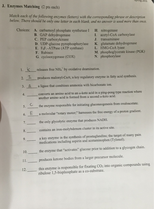 Solved Match each of the following enzymes (letters) with | Chegg.com